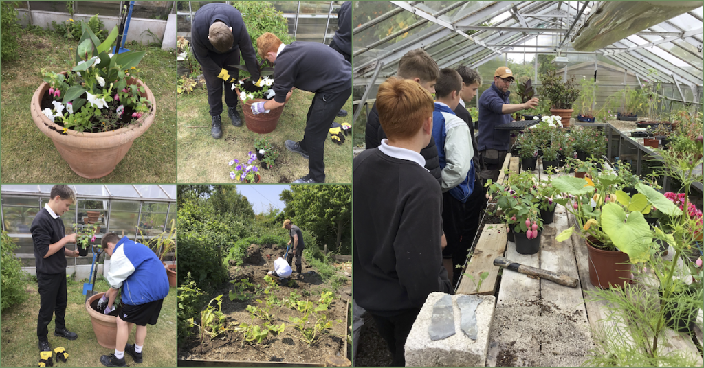 Students Visit Budock Vean Hotel for Horticulture Day - Penryn College