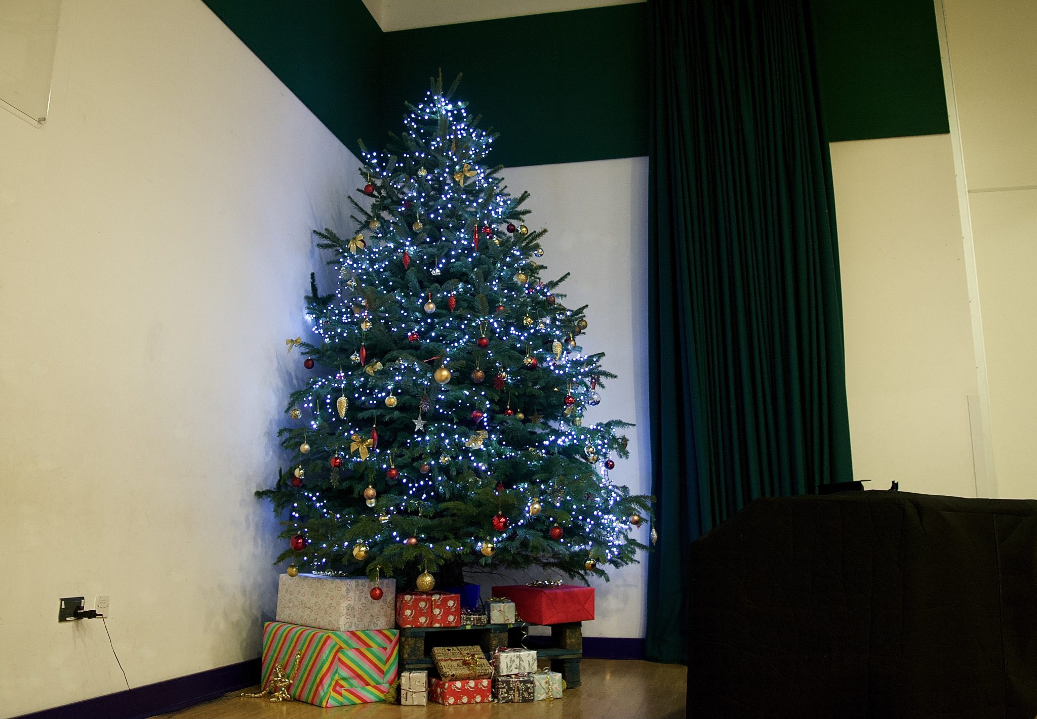 School Christmas Trees! - Penryn College