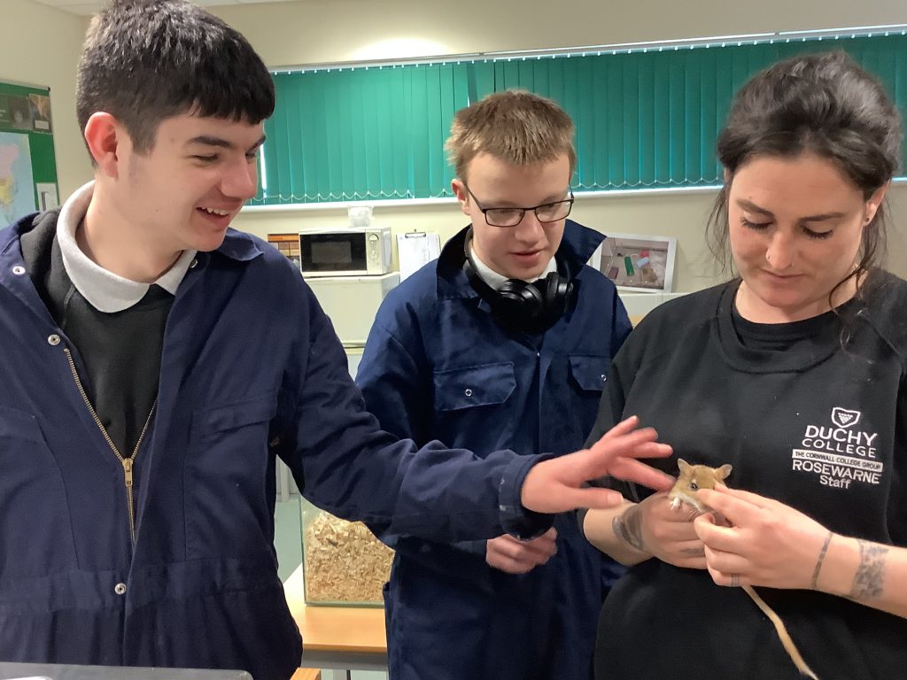 Students Meet Variety of Animals in Latest Duchy College Visit ...