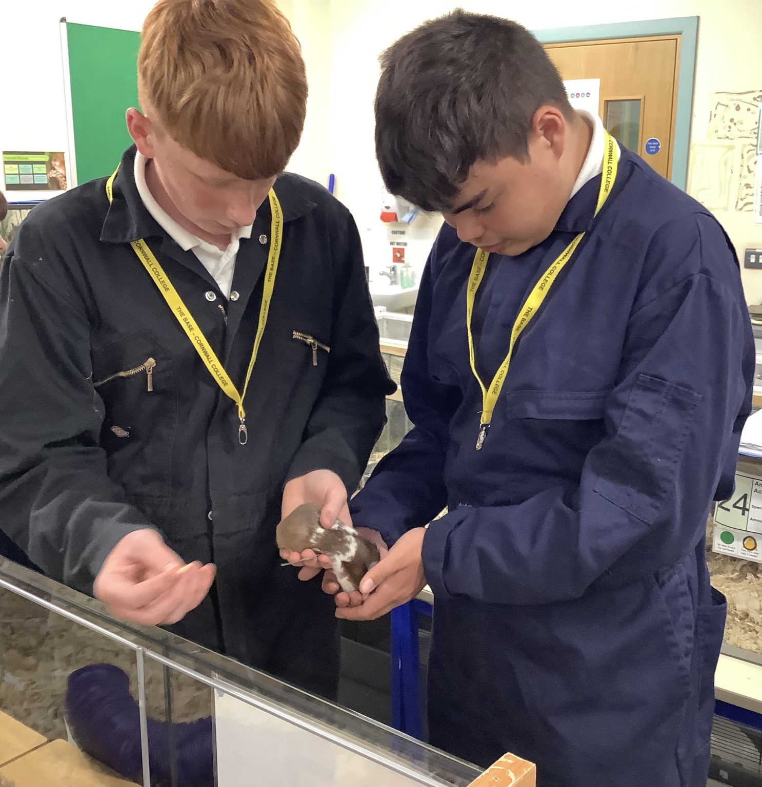 IMG_2740 - Penryn College